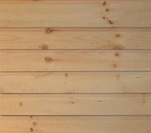 Vinyl and Wood Siding Options For Sheds